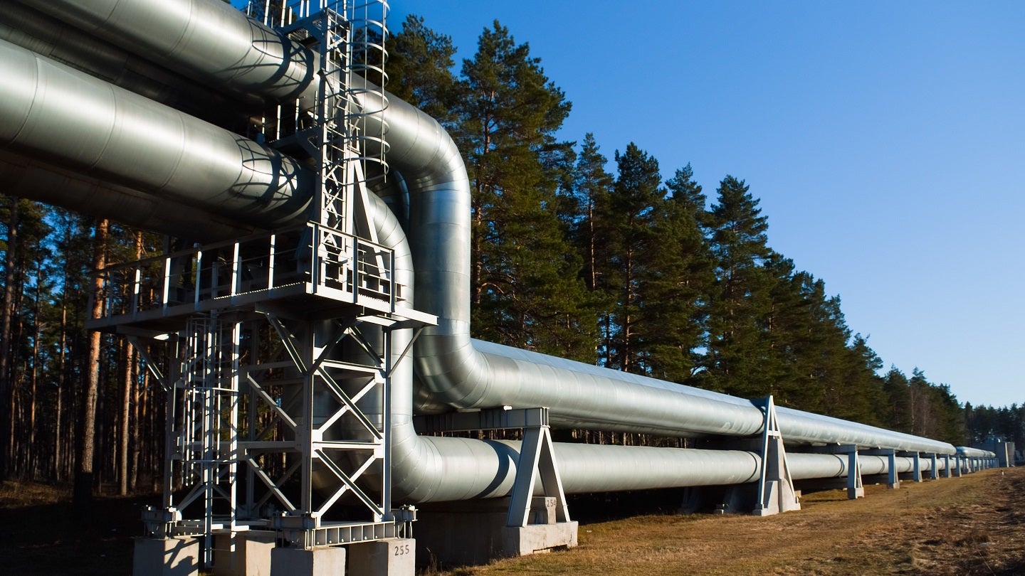 CEZ and CVC Capital Partners to bid for stake in GasNet