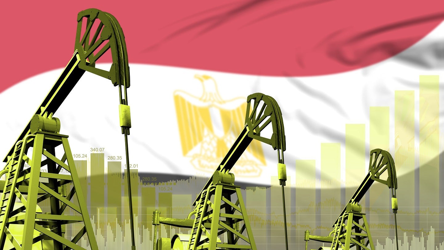 Egypt launches bidding for 12 oil and gas exploration blocks